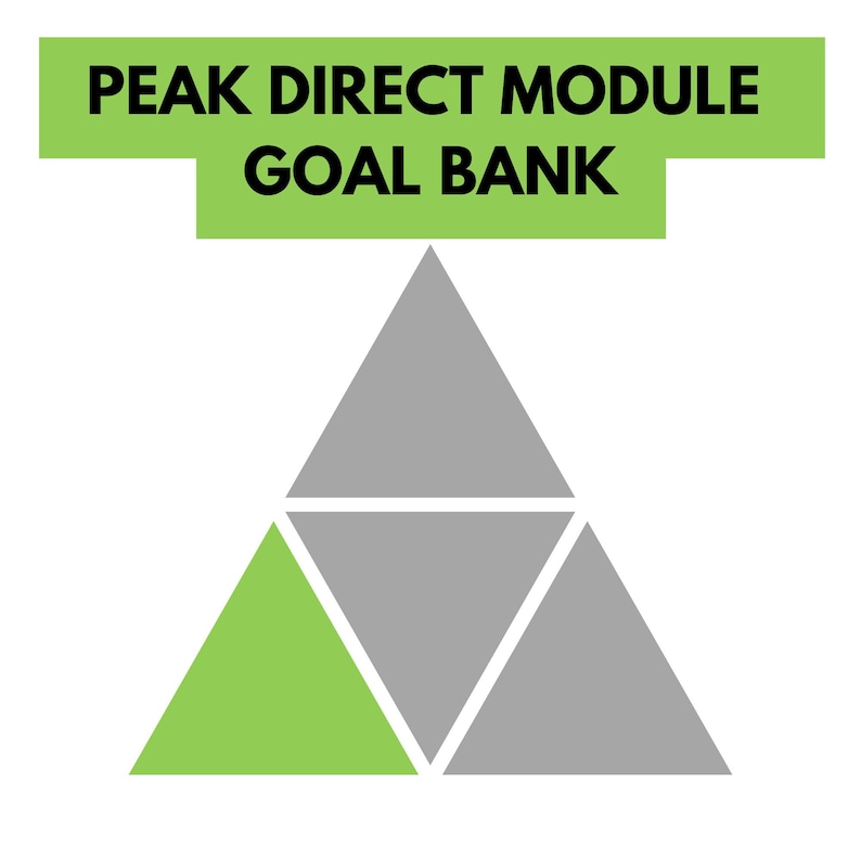 PEAK Direct Module Digital Goal Bank - Etsy