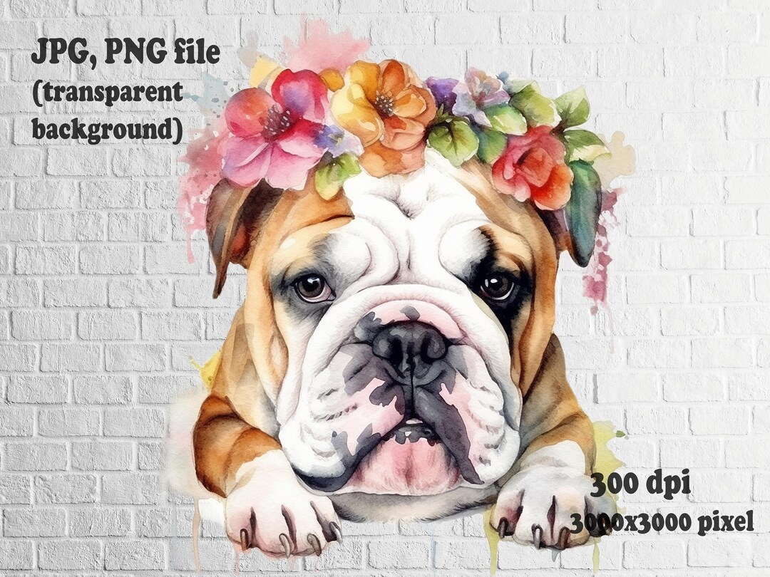 Bulldog Png Dog Png Sublimation Design Sublimation Png - Etsy