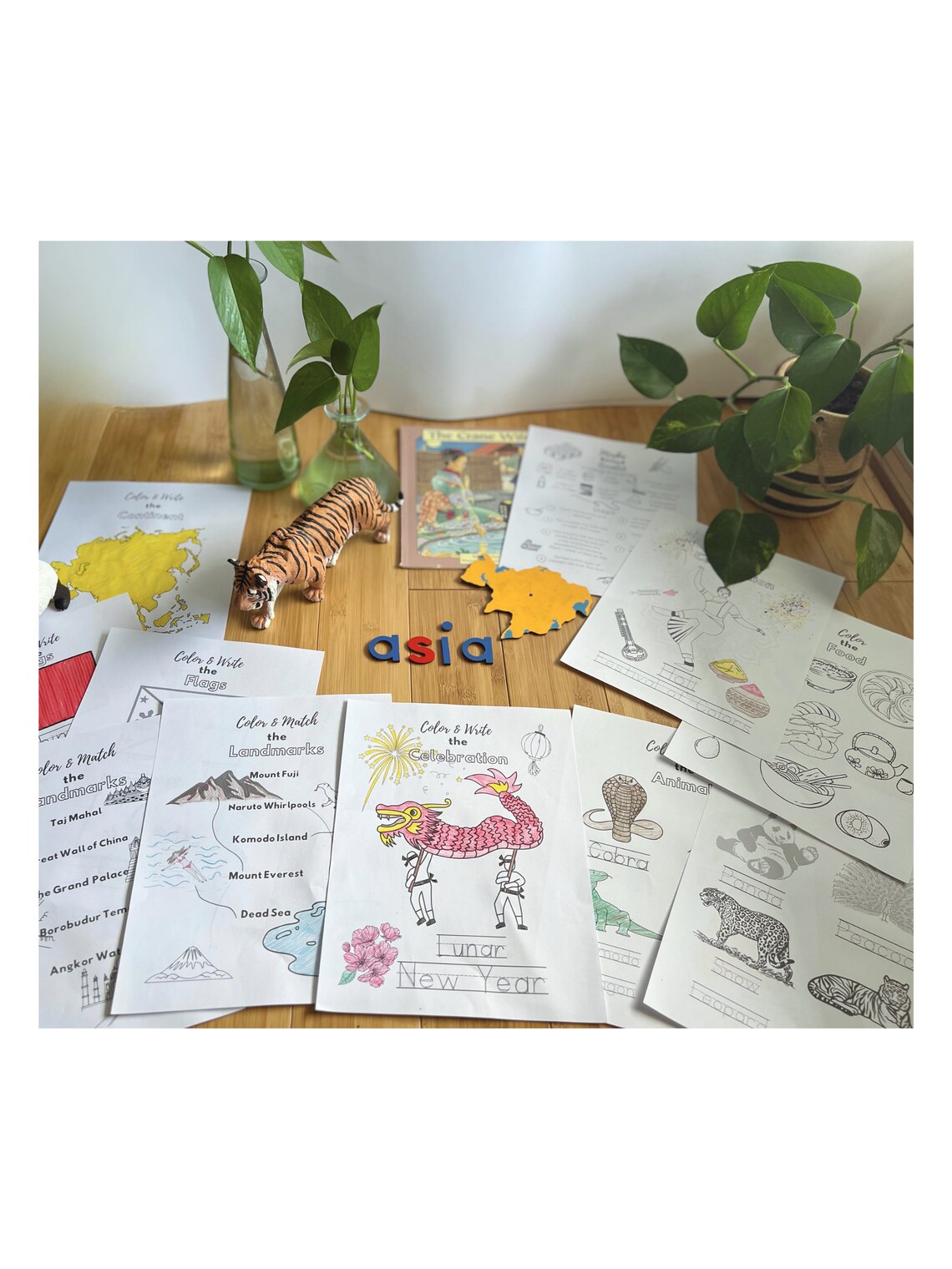 ASIA DIGITAL DOWNLOAD: Montessori Cultural Study Coloring and Activity ...