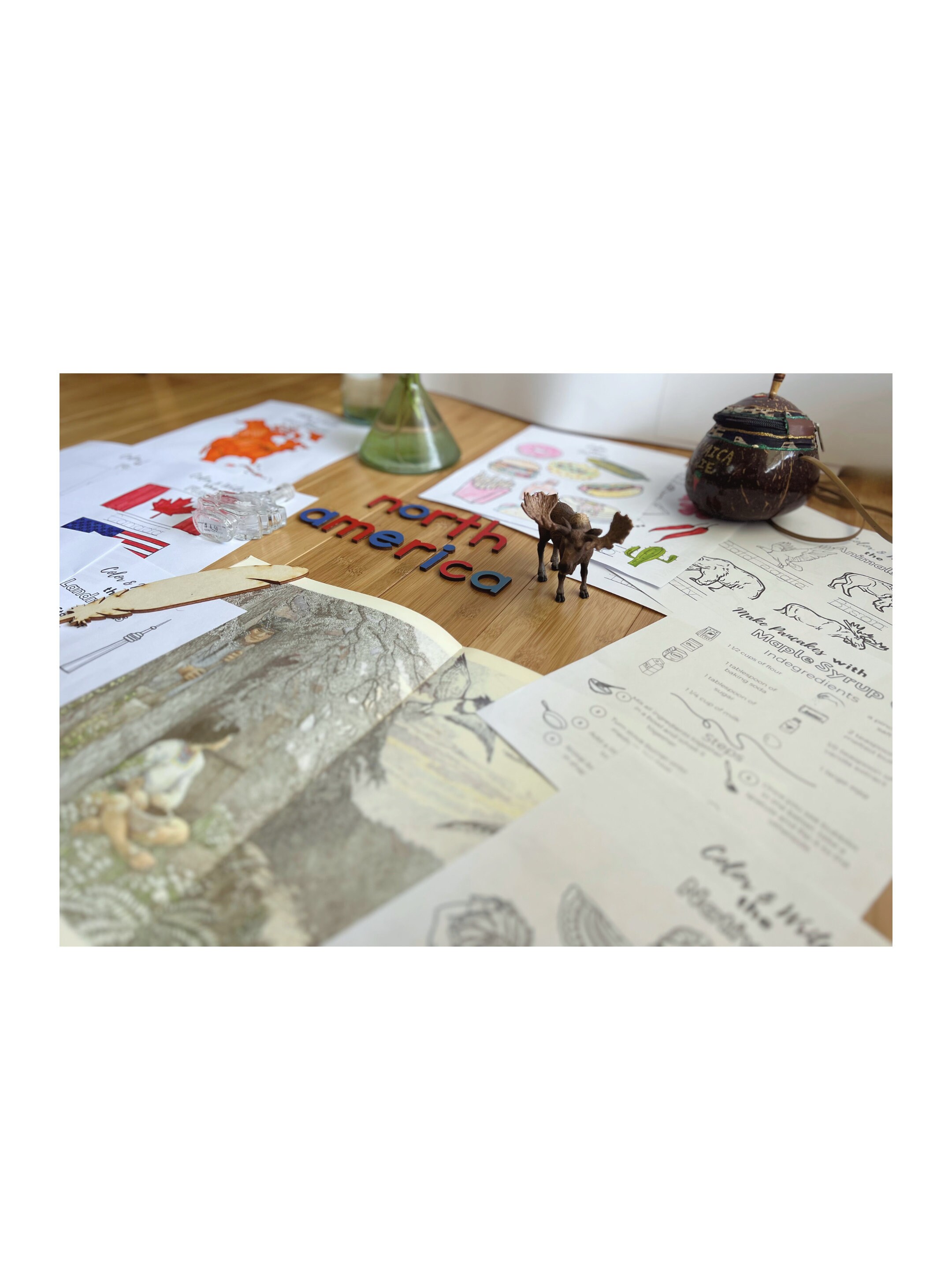 NORTH AMERICA DIGITAL Download: Montessori Cultural Study Coloring and ...