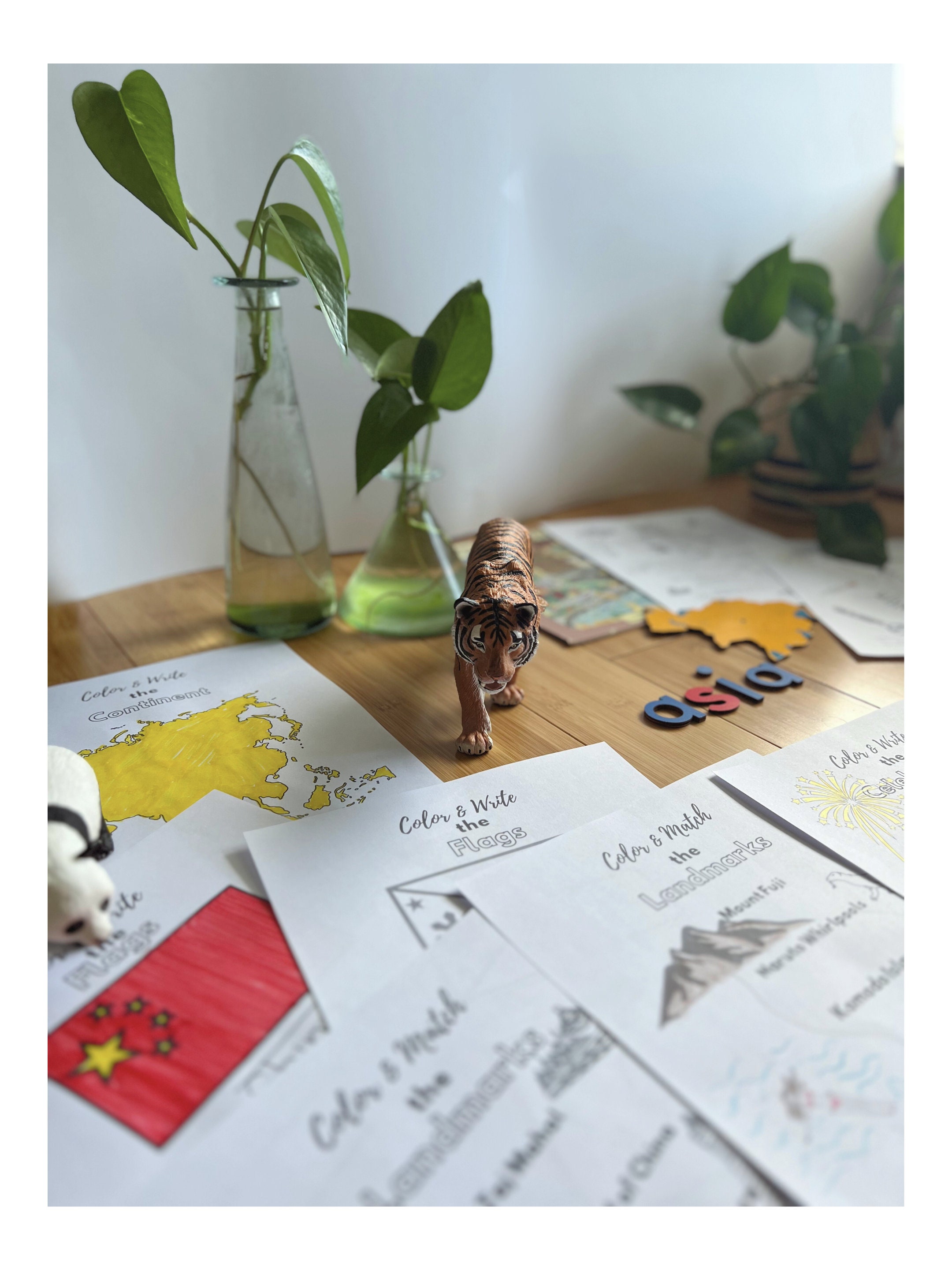 ASIA DIGITAL DOWNLOAD: Montessori Cultural Study Coloring and Activity ...