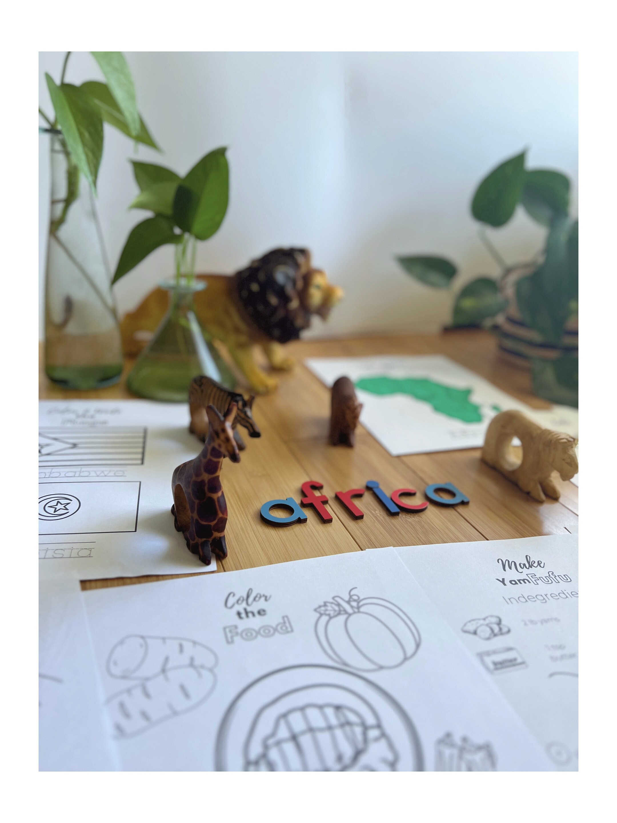 AFRICA DIGITAL DOWNLOAD: Montessori Cultural Study Coloring and ...