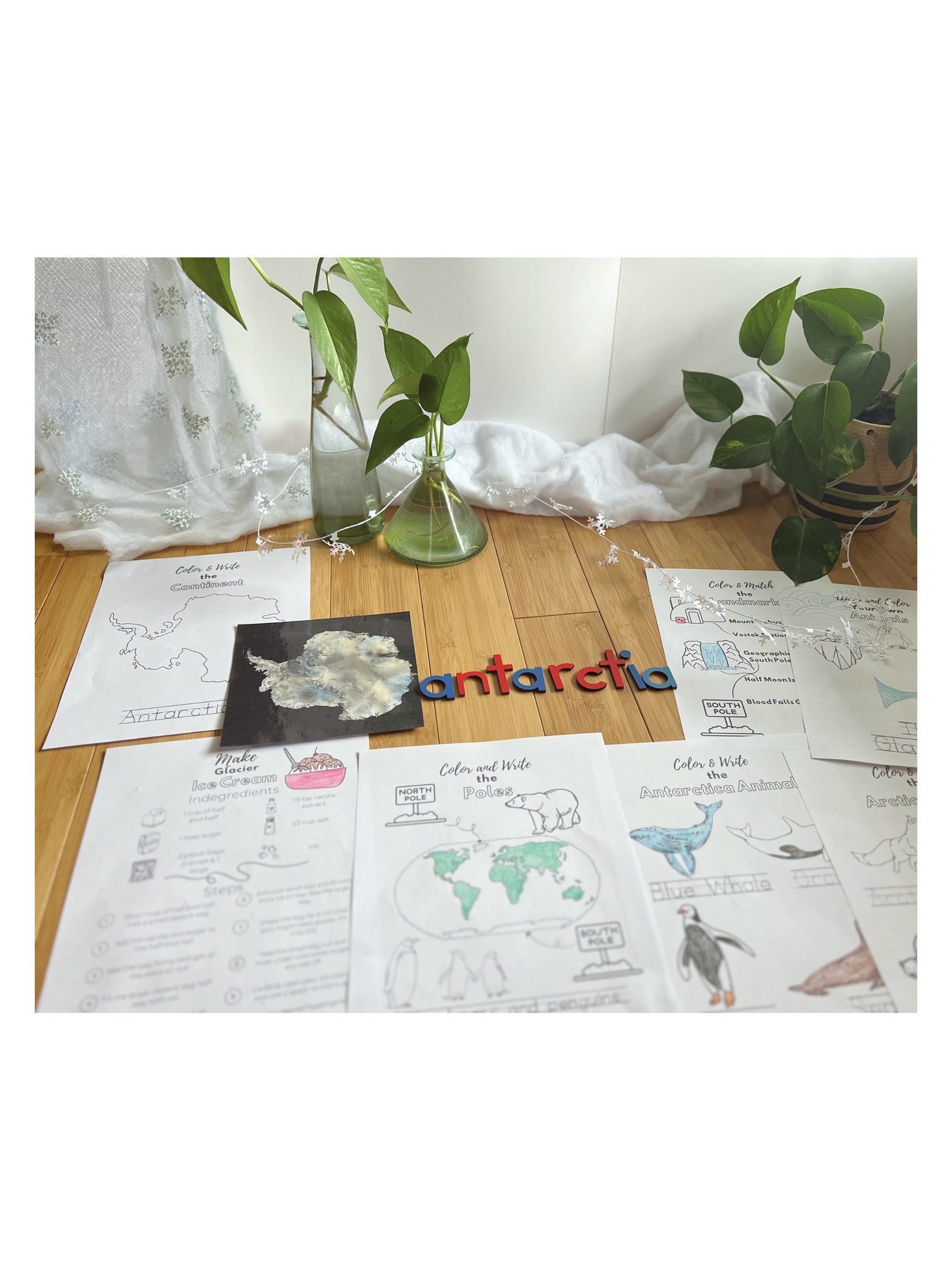 BUNDLE DIGITAL DOWNLOAD: Montessori Cultural Study Coloring and ...
