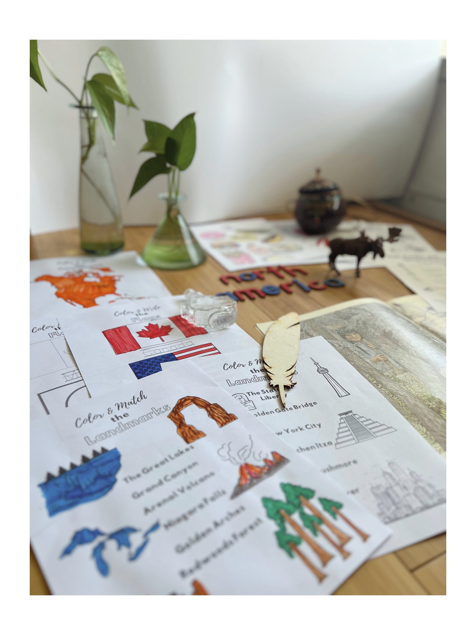 NORTH AMERICA DIGITAL Download: Montessori Cultural Study Coloring and ...