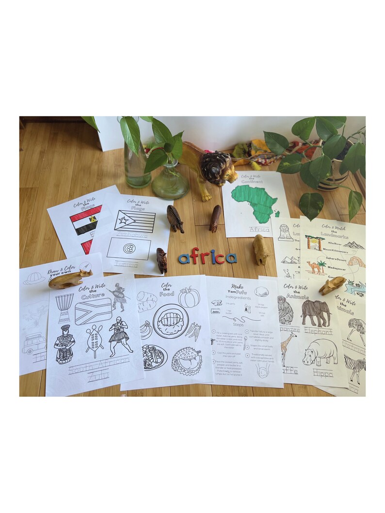 BUNDLE DIGITAL DOWNLOAD: Montessori Cultural Study Coloring and ...