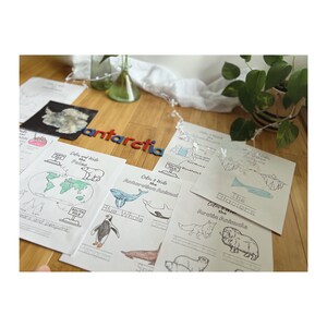 ANTARCTICA DIGITAL DOWNLOAD: Montessori Cultural Study Coloring and ...