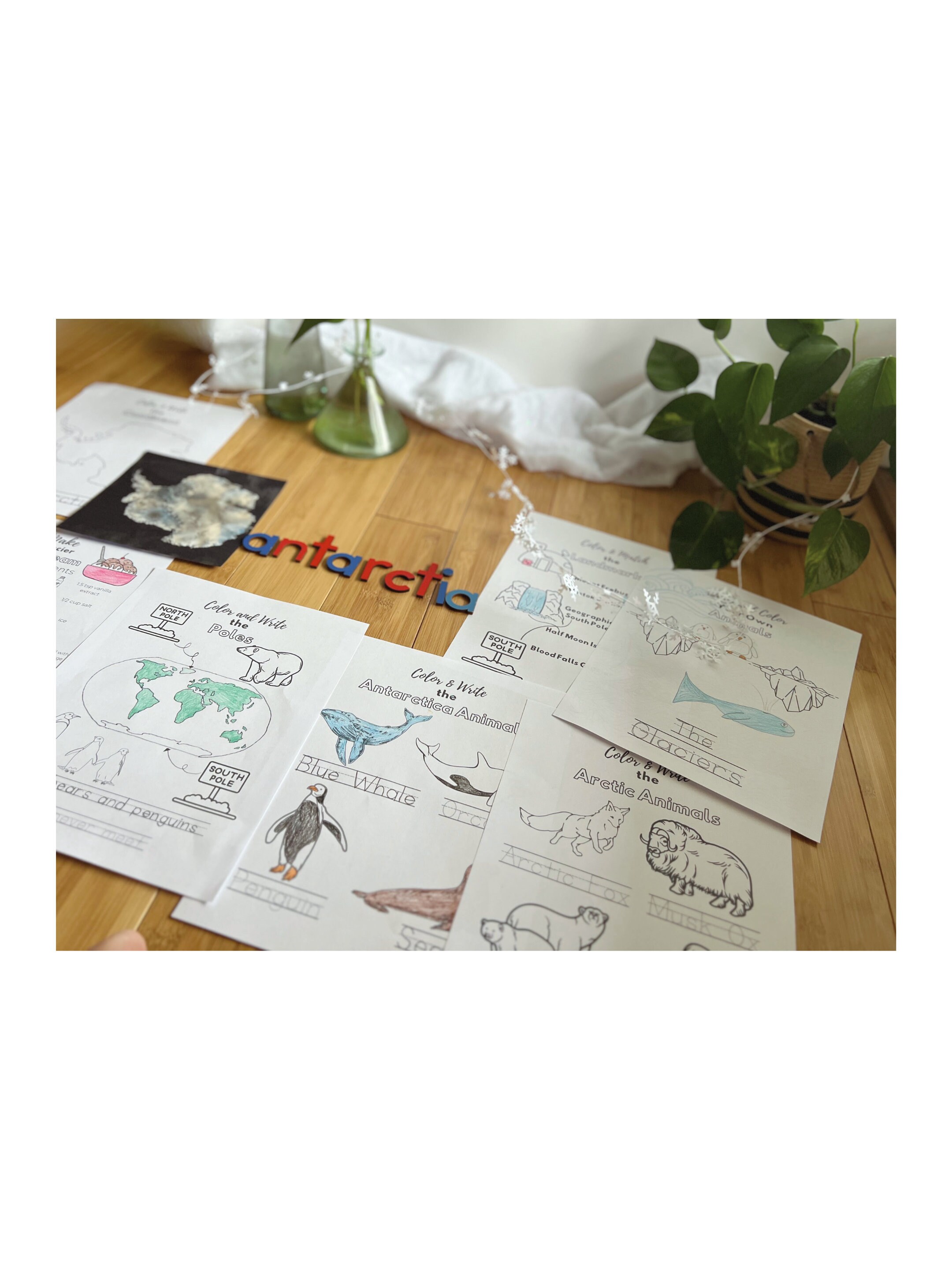 ANTARCTICA DIGITAL DOWNLOAD: Montessori Cultural Study Coloring and ...