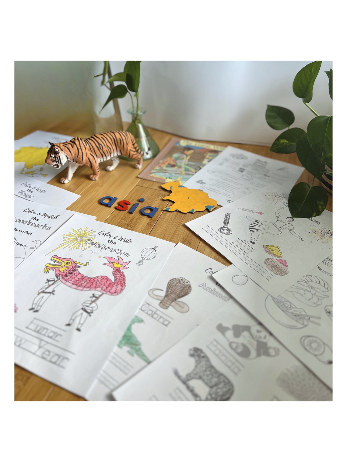 ASIA DIGITAL DOWNLOAD: Montessori Cultural Study Coloring and Activity ...