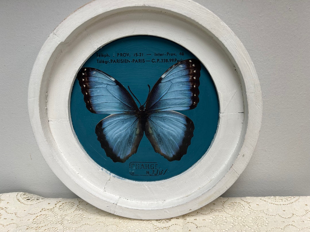 Turquoise Butterfly Framed Picture, Round Butterfly Picture, Wall Decor ...