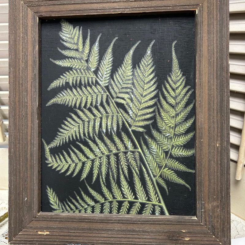 Pressed Fern Framed - Etsy