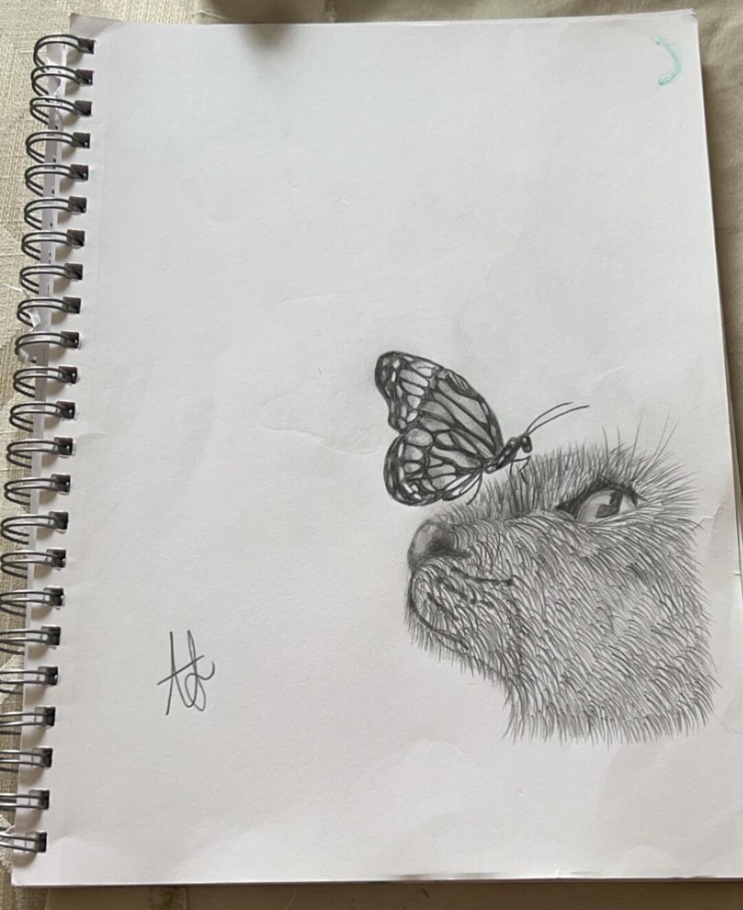 Copy of Orginal Cat Drawing Made by Me signed - Etsy