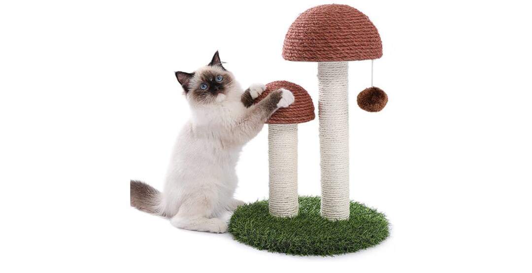 Cat Scratching Post Mushroom Tall Cat Scratcher Featuring - Etsy