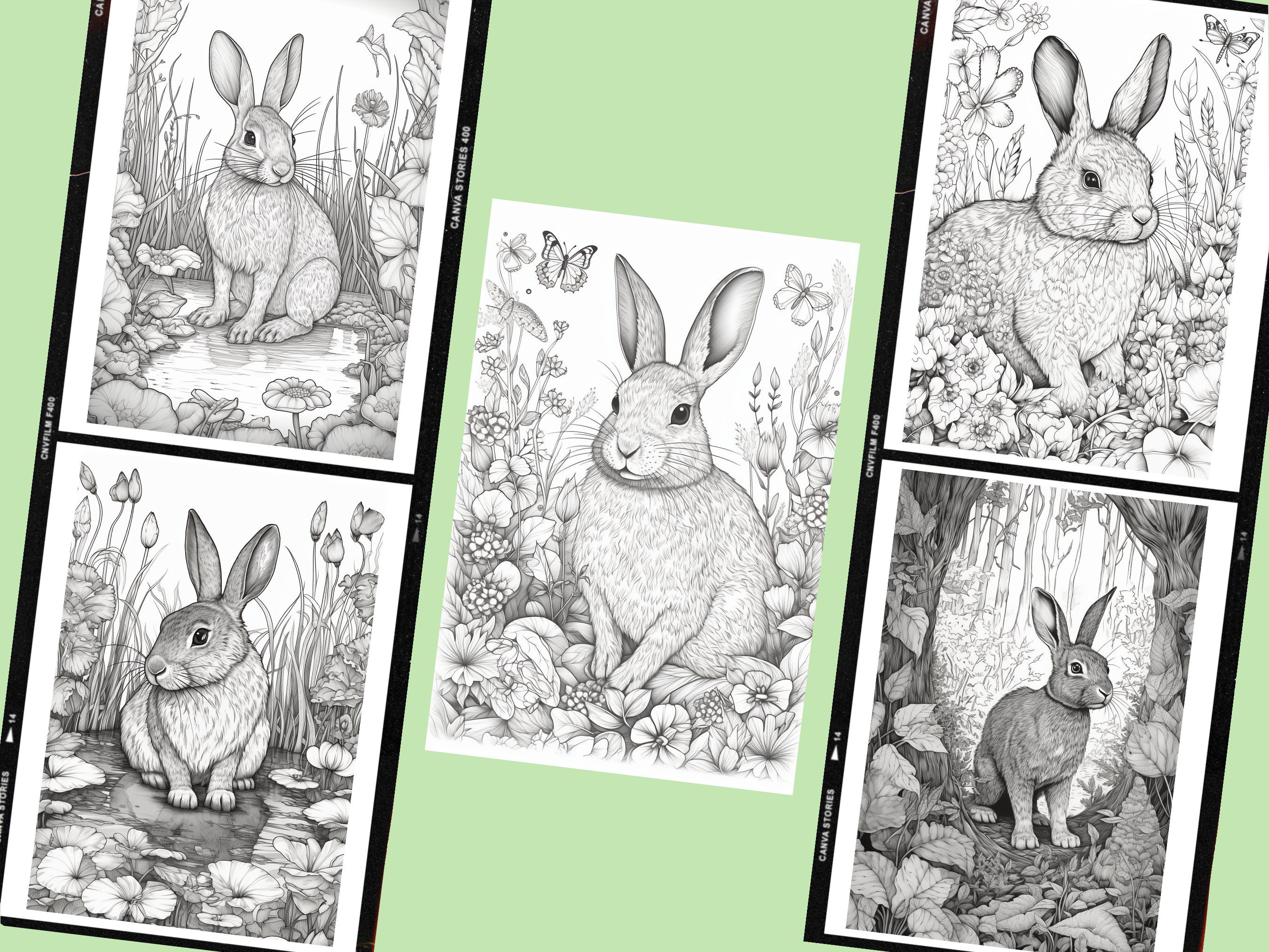 Realistic Rabbit Coloring Book, 25 Pages, Detailed Rabbits Coloring ...