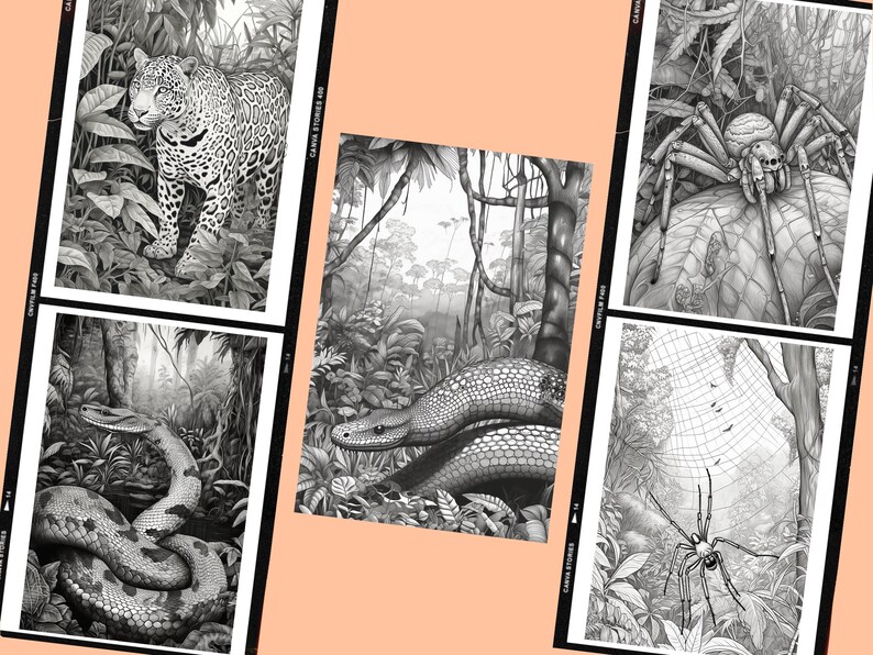 Rainforest Animals Coloring Book, 25 Pages, Jungle Wildlife Coloring ...