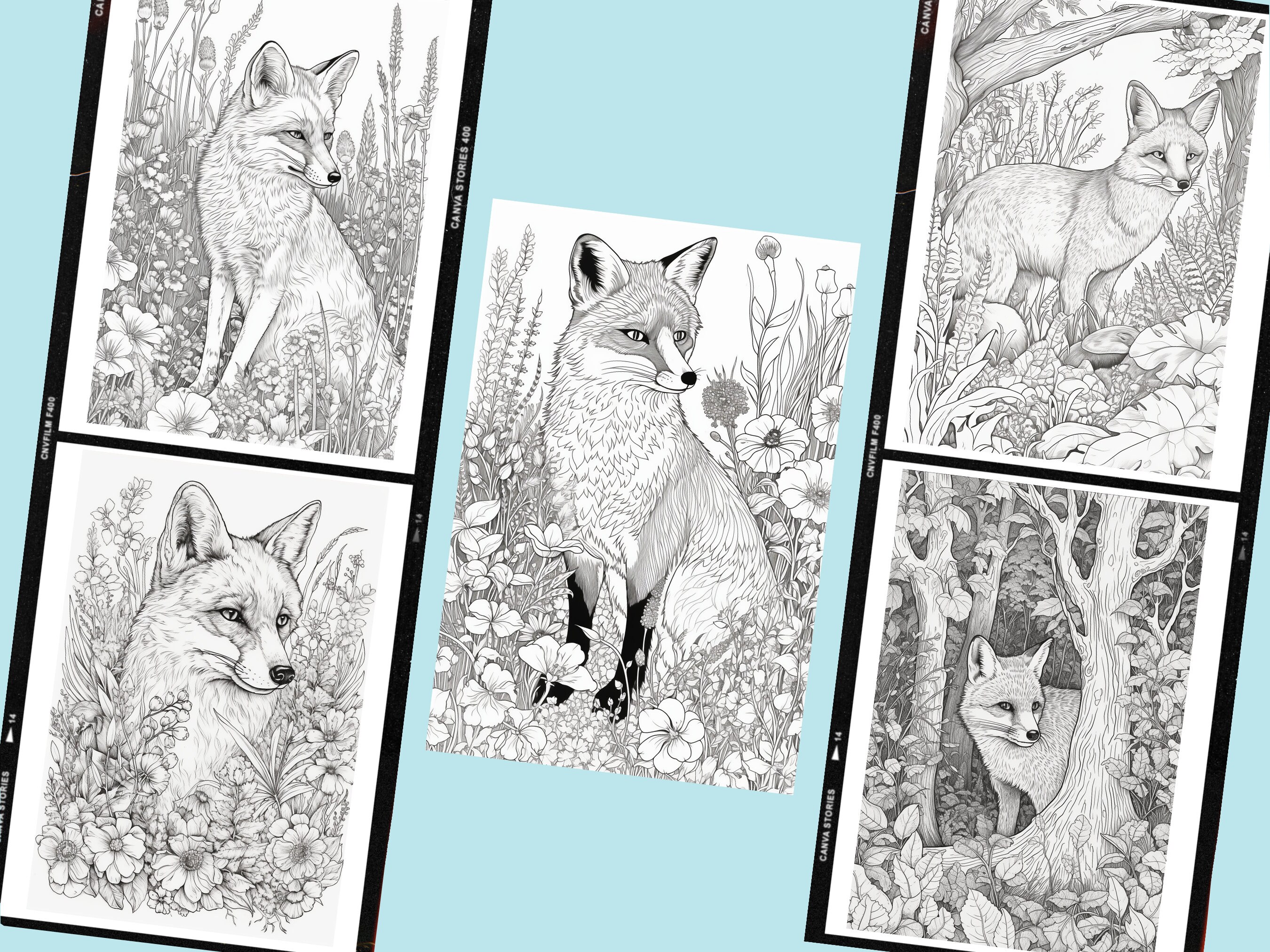 Realistic Foxes Coloring Book, 25 Pages, Wild Foxes Coloring Book, Cute ...