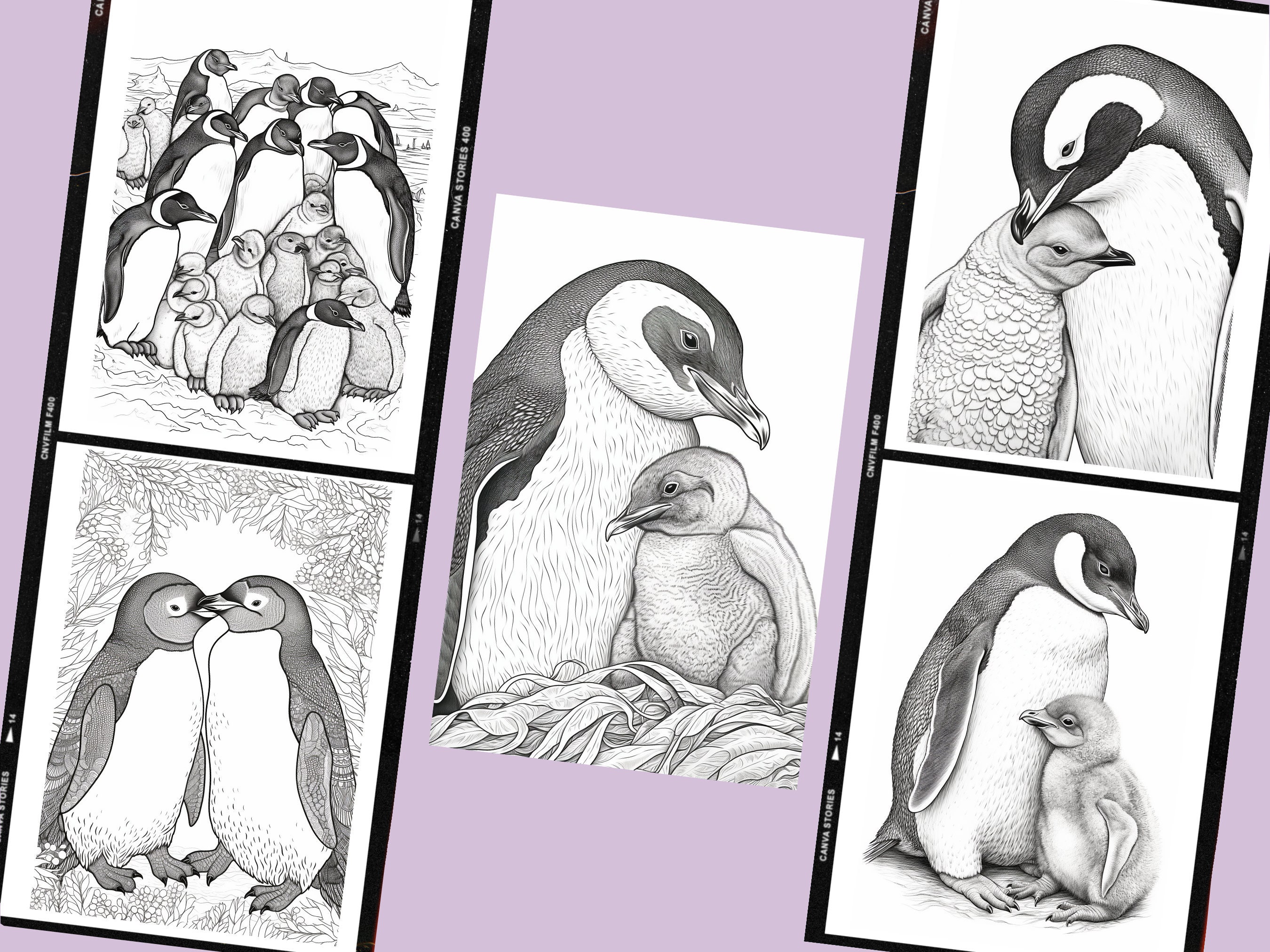 Realistic Penguins Coloring Book, 25 Pages, Arctic Penguins Coloring ...