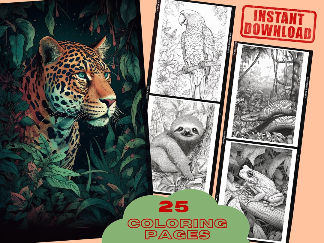 Rainforest Animals Coloring Book, 25 Pages, Jungle Wildlife Coloring ...