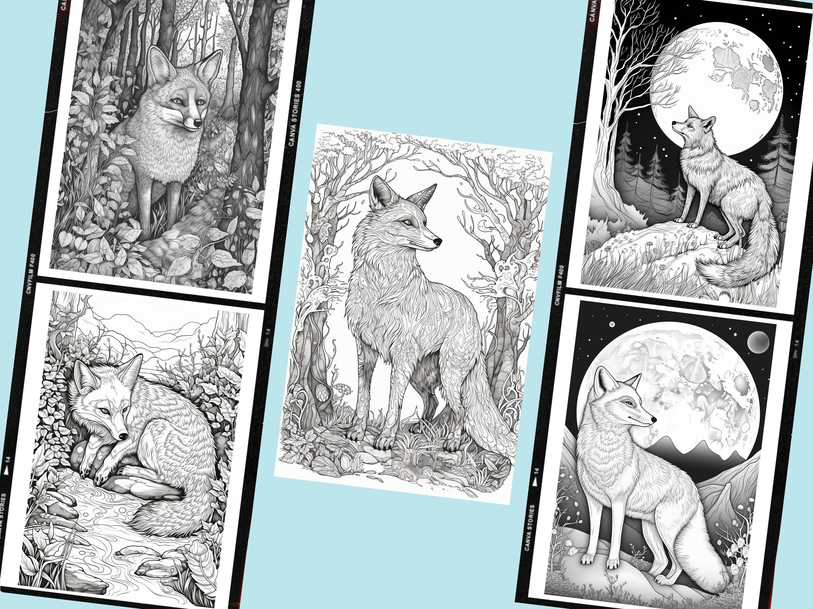 Realistic Foxes Coloring Book, 25 Pages, Wild Foxes Coloring Book, Cute ...