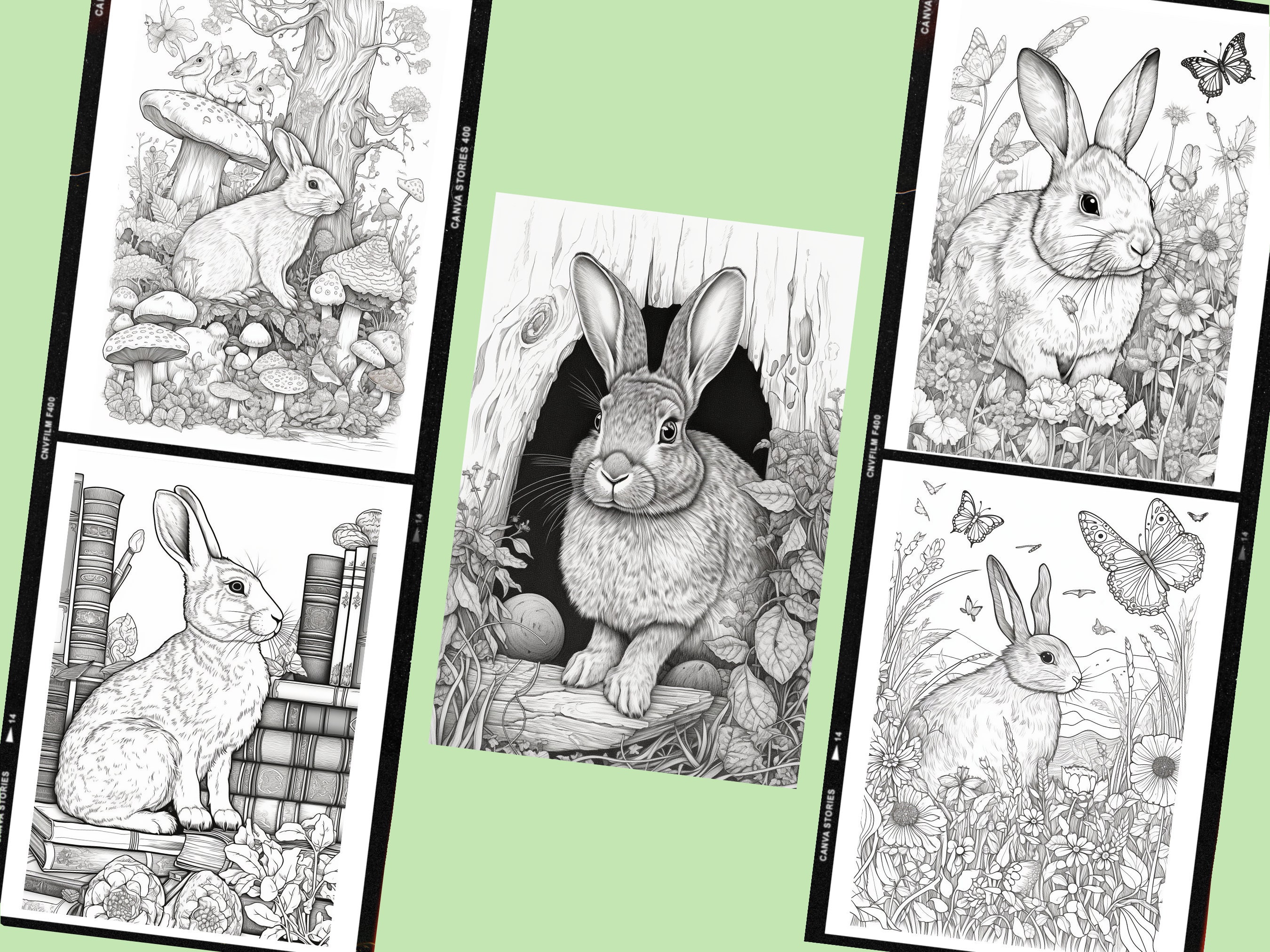 Realistic Rabbit Coloring Book, 25 Pages, Detailed Rabbits Coloring ...