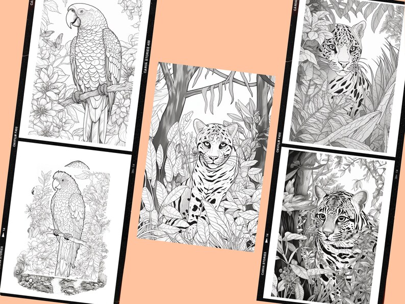 Rainforest Animals Coloring Book, 25 Pages, Jungle Wildlife Coloring ...