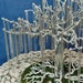 Silver Wire Tree Sculpture: Elegant Home Decor - Etsy
