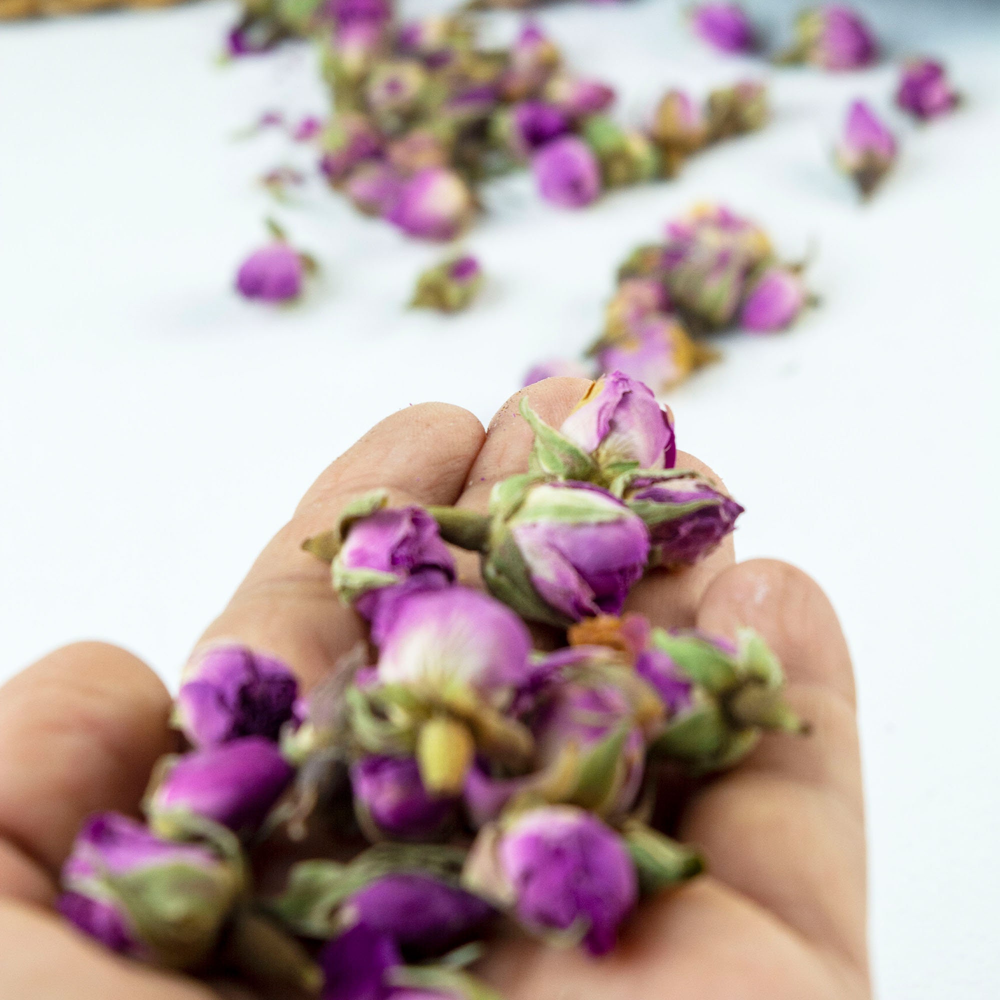 Premium Dried Rose Buds - Hand Gathered Pink Damascene for Tea & Jam ...