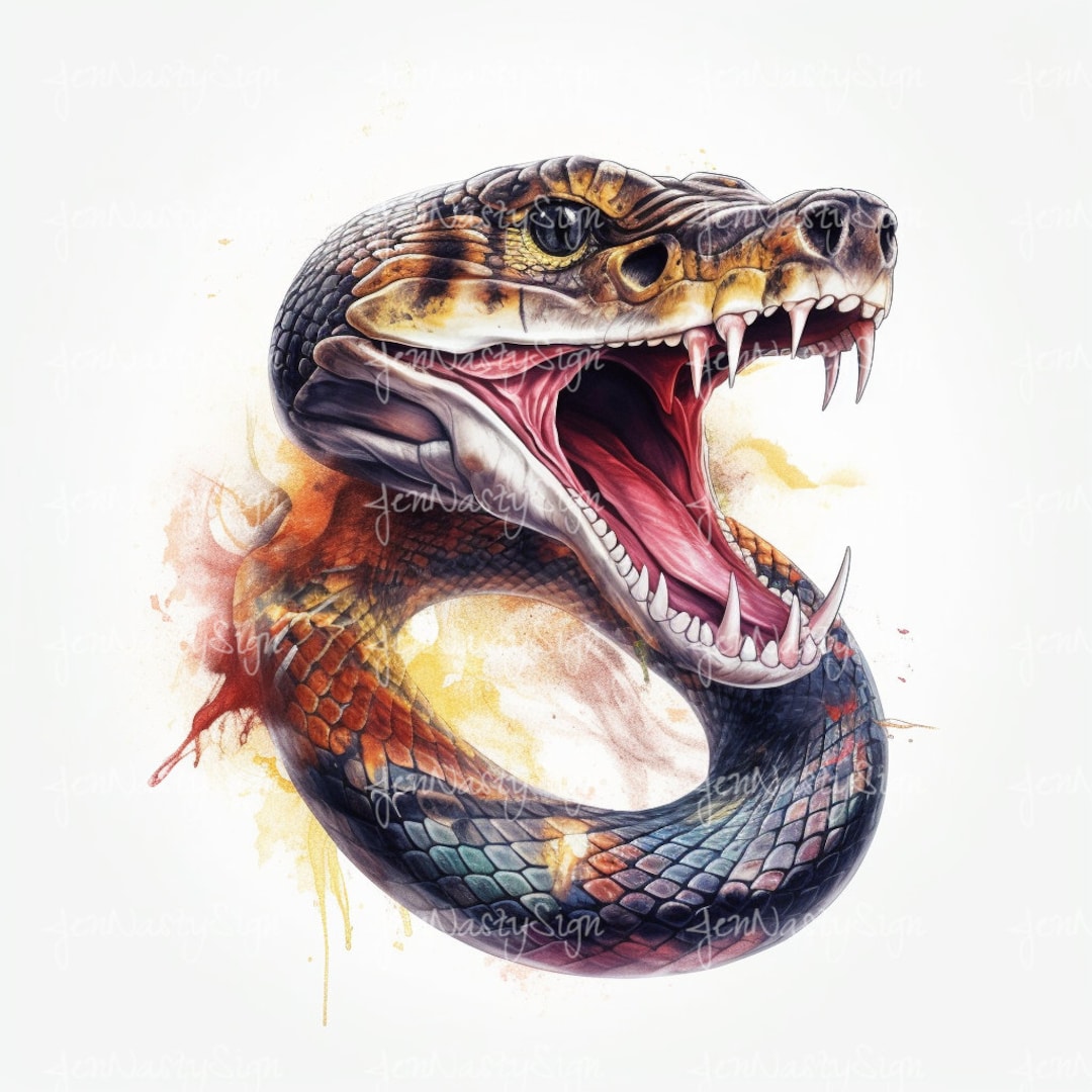 Colorful Snake PNG Colorful Snake Sublimation for Shirts Art Mugs ...