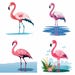 60 Bird Clipart Images Bird PNG Sticker Toucan Design Bird Illustration ...