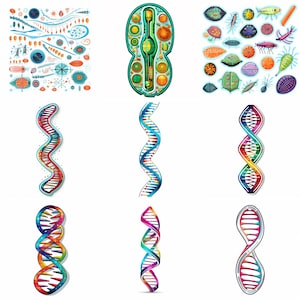 105 Science Clipart Images Science PNG Sticker Scientist Design ...