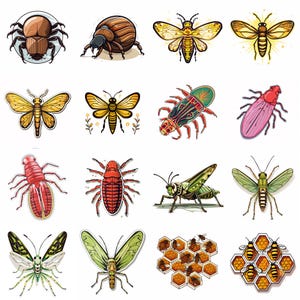 144 Bug Clipart Images Bug PNG Sticker Ant Design Fly Illustration ...