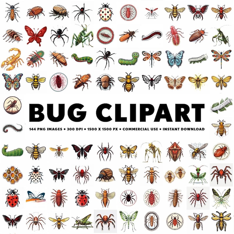 144 Bug Clipart Images Bug PNG Sticker Ant Design Fly Illustration ...