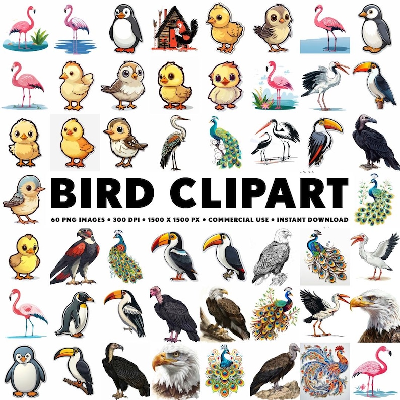 60 Bird Clipart Images Bird PNG Sticker Toucan Design Bird Illustration ...