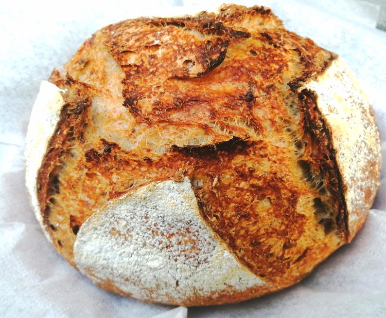 Old European Whole Wheat Sourdough Starter Super Active - Etsy