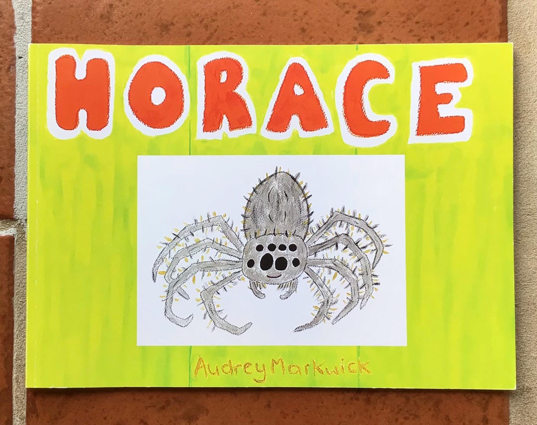 Horace, Children’s Picture Book About a Spider, Animal Friends ...