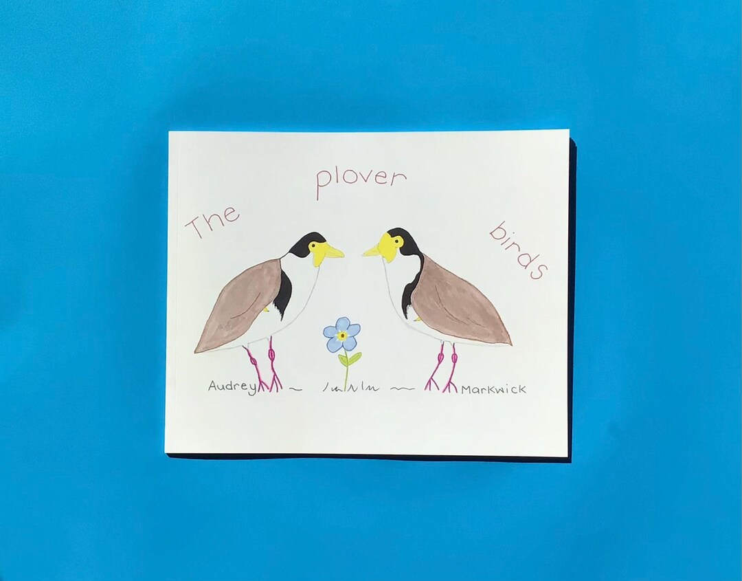 The Plover Birds, Children’s Picture Book About a Family of Masked ...