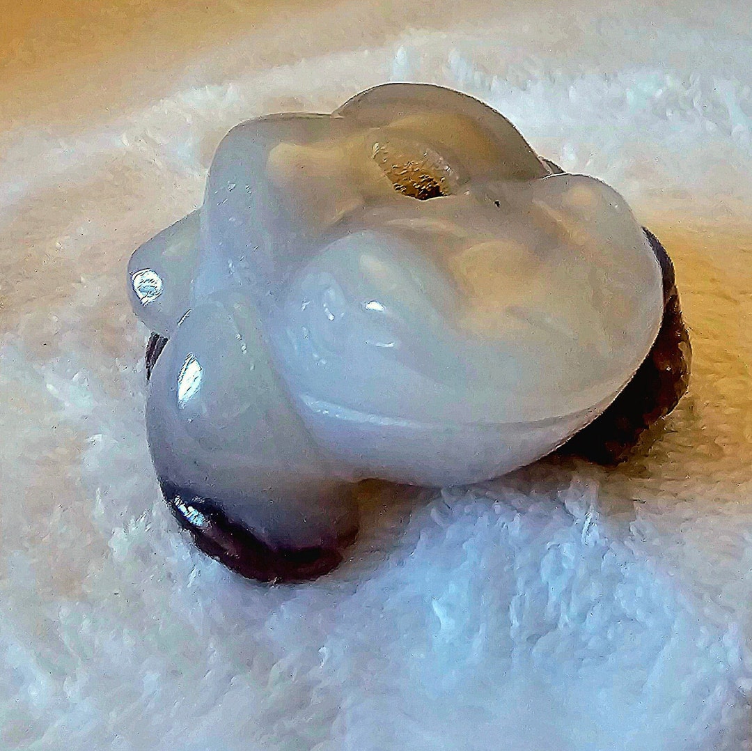 White Agate Frog With Sparkling Druzy - Etsy