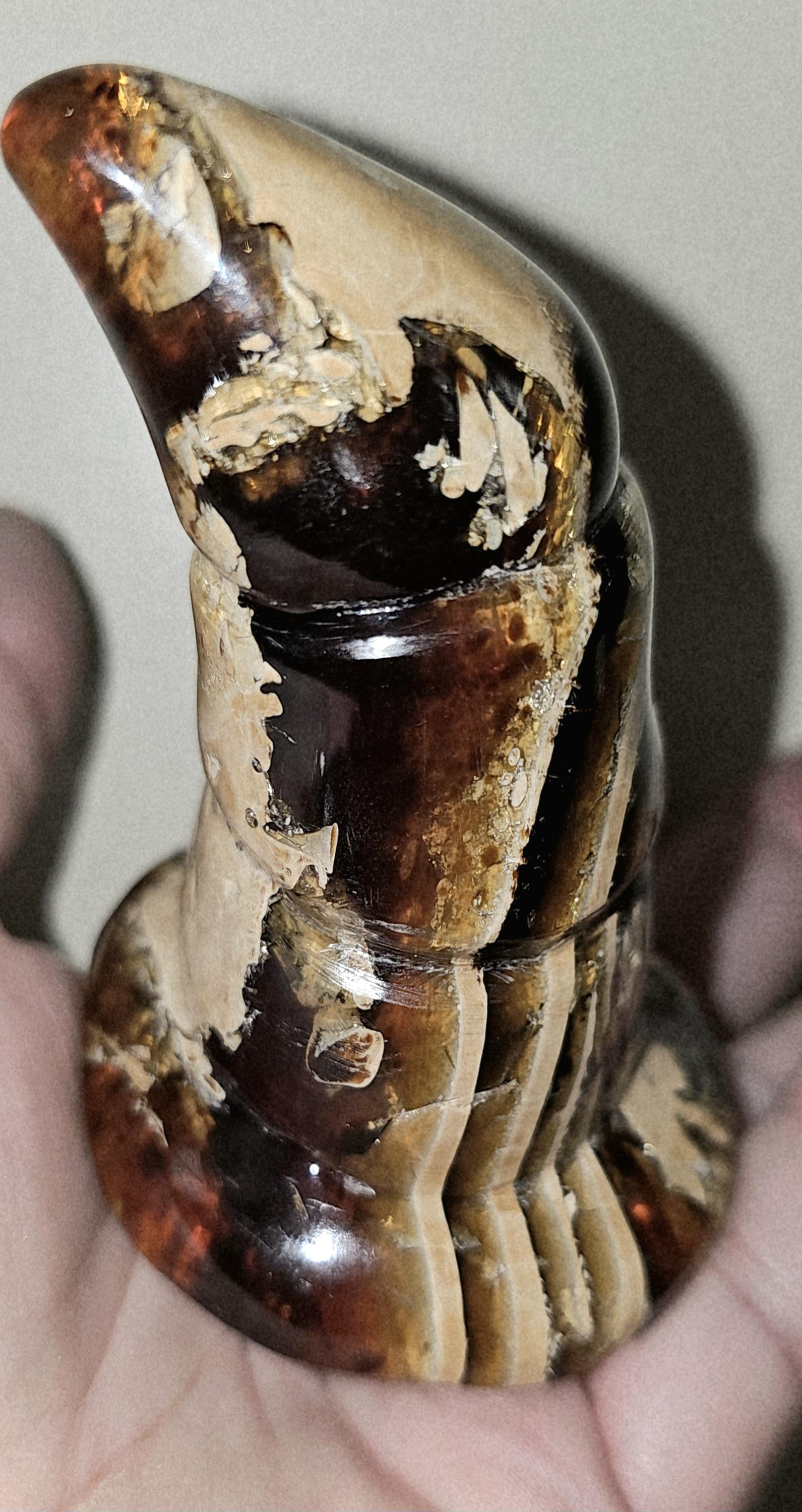 Sumatran Blue Amber Witch Hat Carving, Rare Crystal Specimen - Etsy