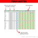 Dragon Boat Race Lineup Seating Roster Planning Template | Team Captain ...