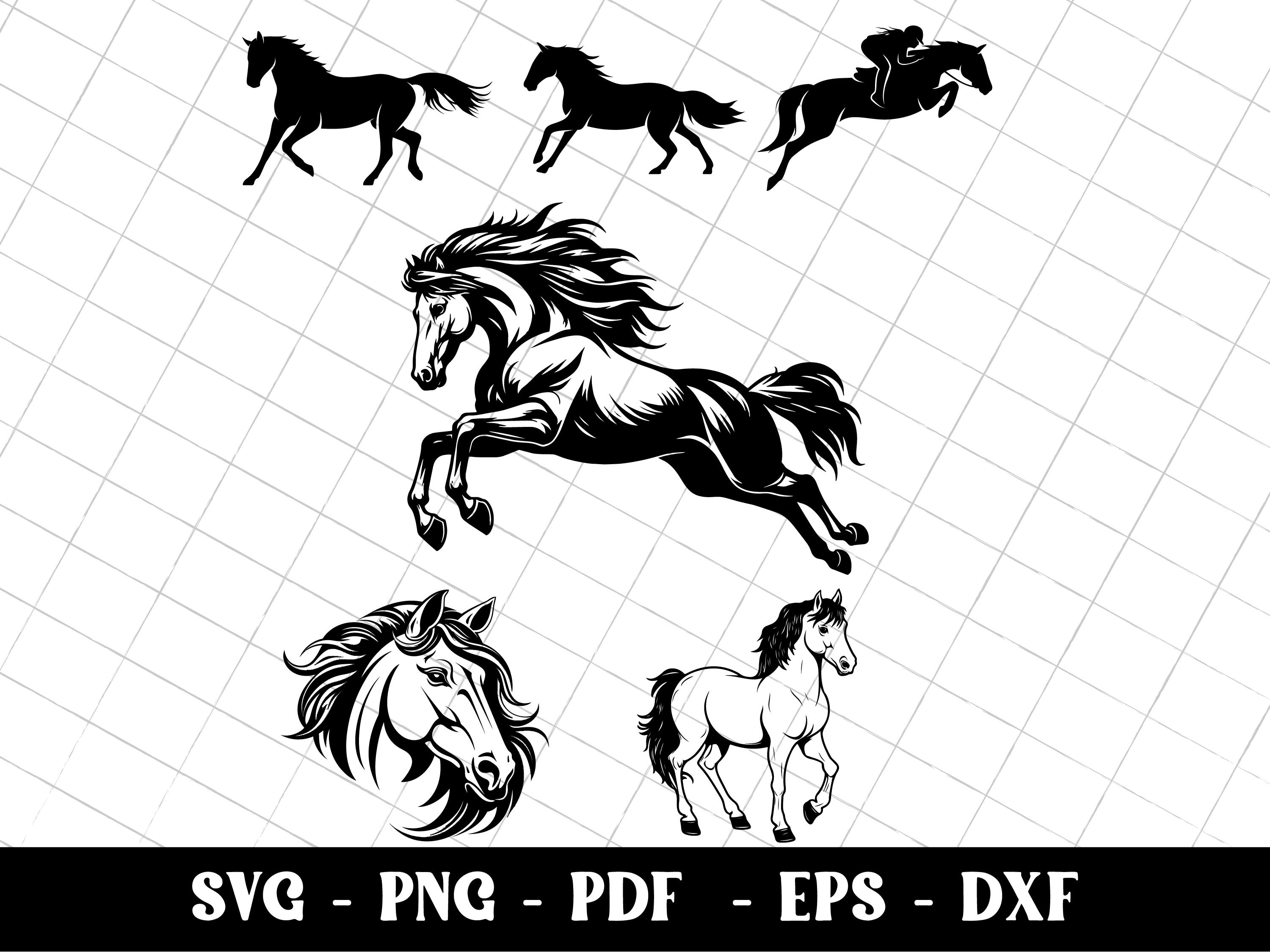 Horse Head Svg, Horse Svg, Stallion Svg, Horse Lover, Decal, Sticker ...