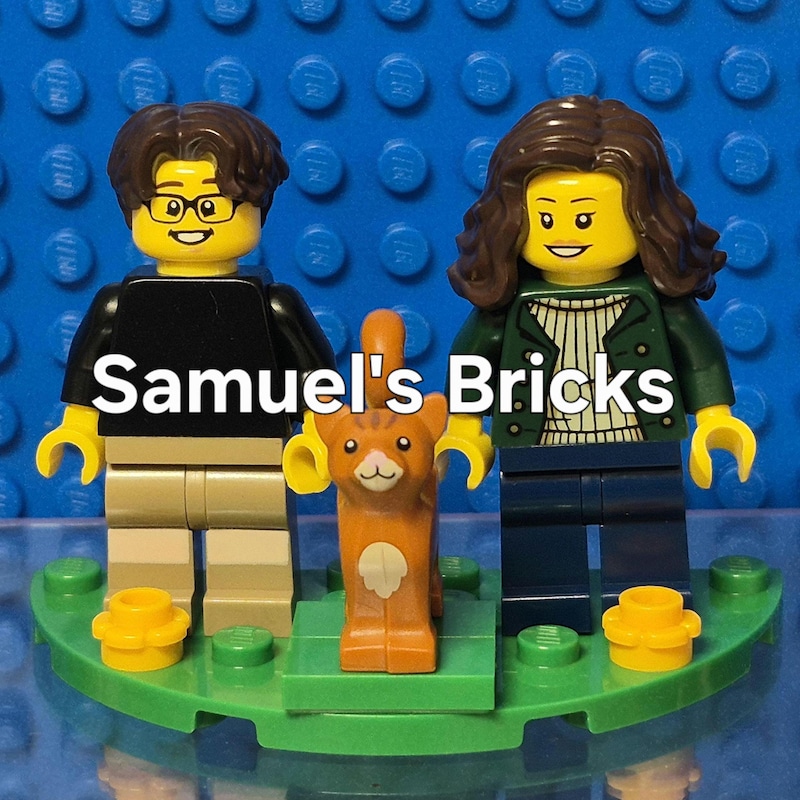 Customized Dog Legos - Etsy