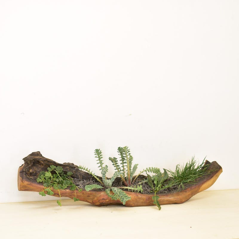 Log Vase - Etsy