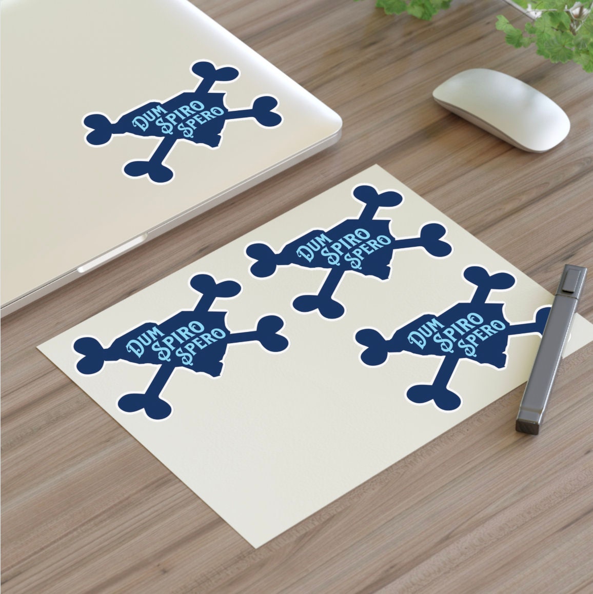 Palmetto State, Jolly Roger Sticker Sheet, Pirate Sticker, South ...