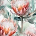 Watercolour Protea Seamless Pattern, Tile Digital Paper - PNG - Etsy