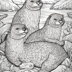 You Otter Be Coloring - Coloring Pages for Print or Procreate - Etsy