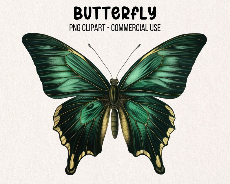 Dark Green Butterfly Clipart Exotic Butterfly Instant - Etsy