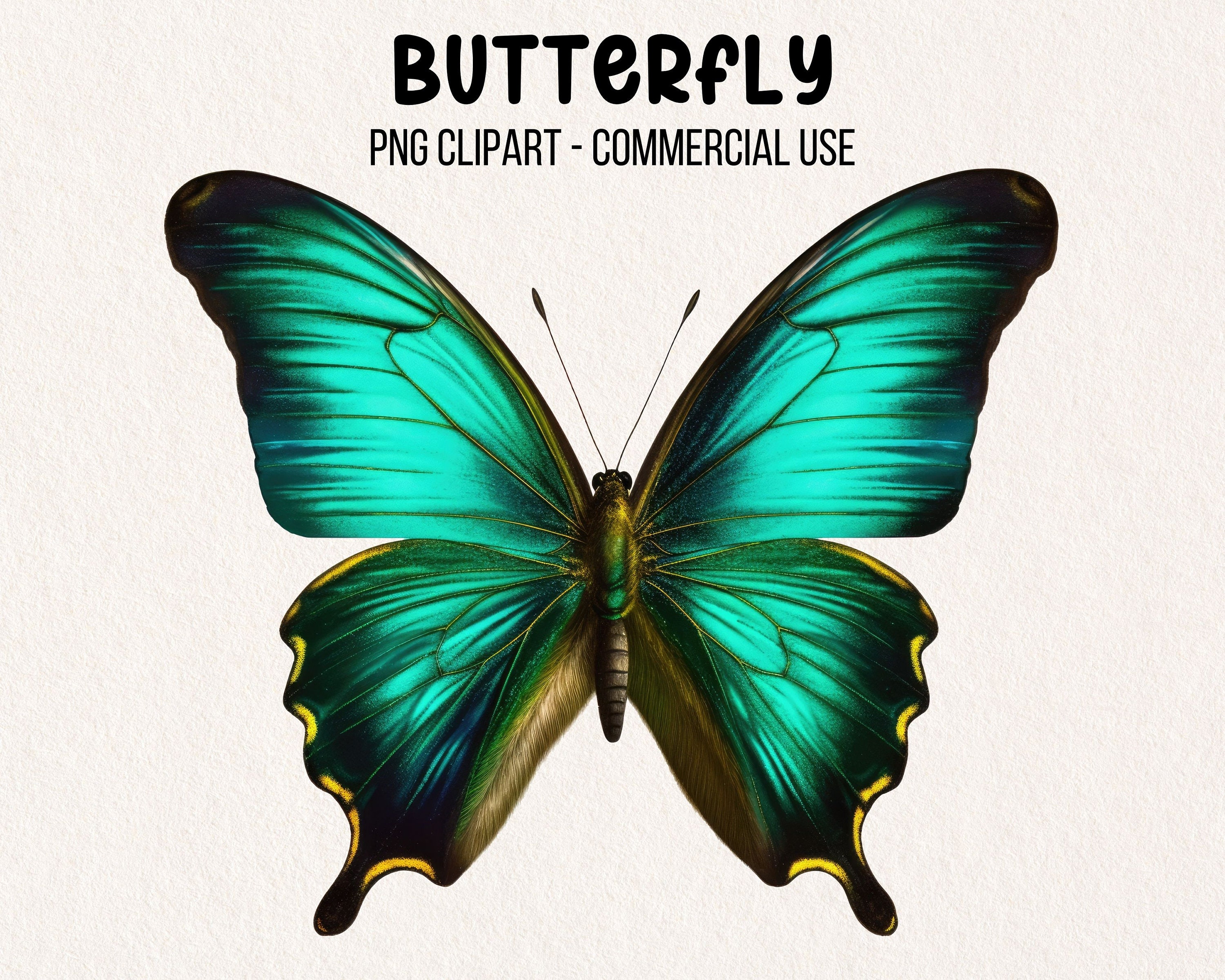 Green Butterfly Clipart Exotic Butterfly Instant Download - Etsy
