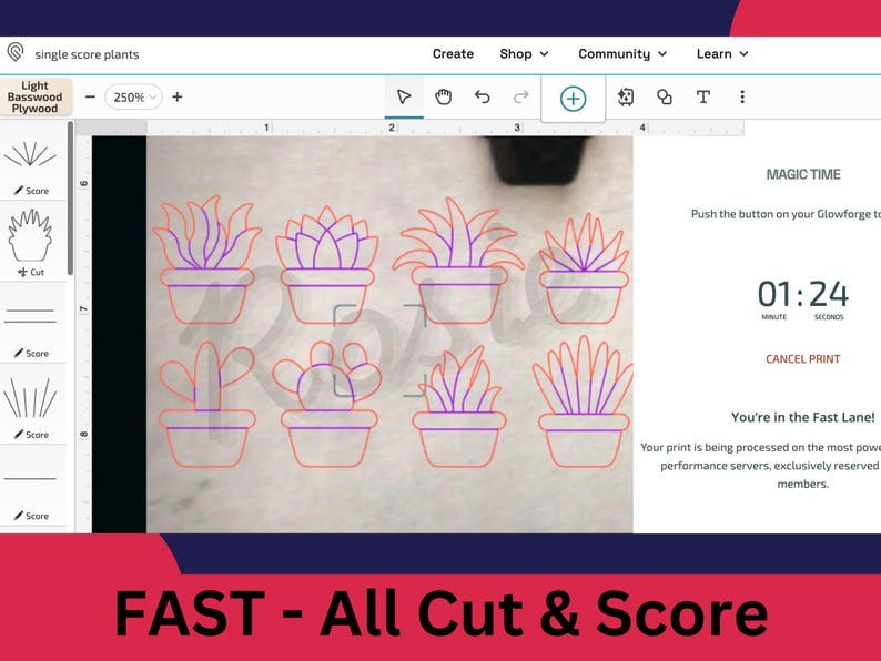 Succulent Cactus Plant Cut Files - Laser Ready - SVG PNG - Glowforge ...