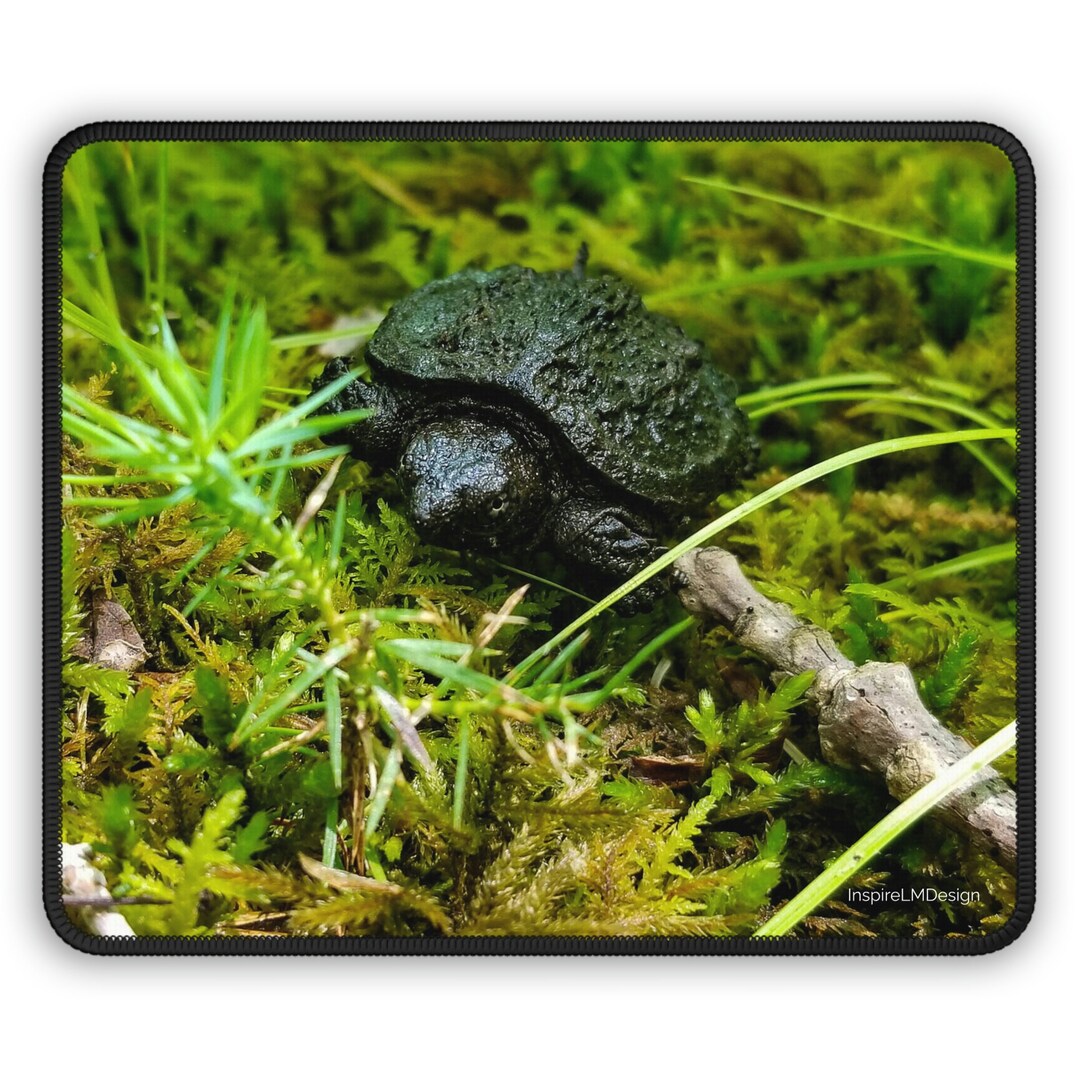 Cute Baby Snapping Turtle Gaming Mouse Pad - Etsy