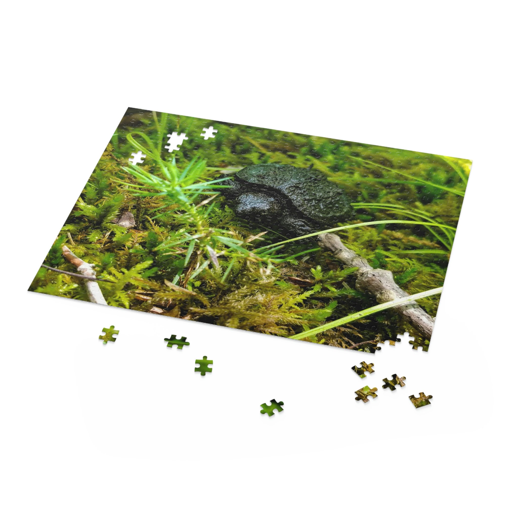 Cute Baby Snapping Turtle Puzzle for Kids and Adults 120 - Etsy