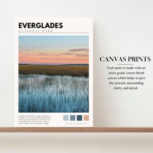 Florida Everglades Print | Everglades National Park Poster | Everglades ...